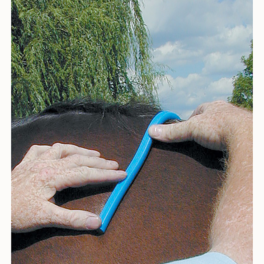 Saddle Fitting Curve