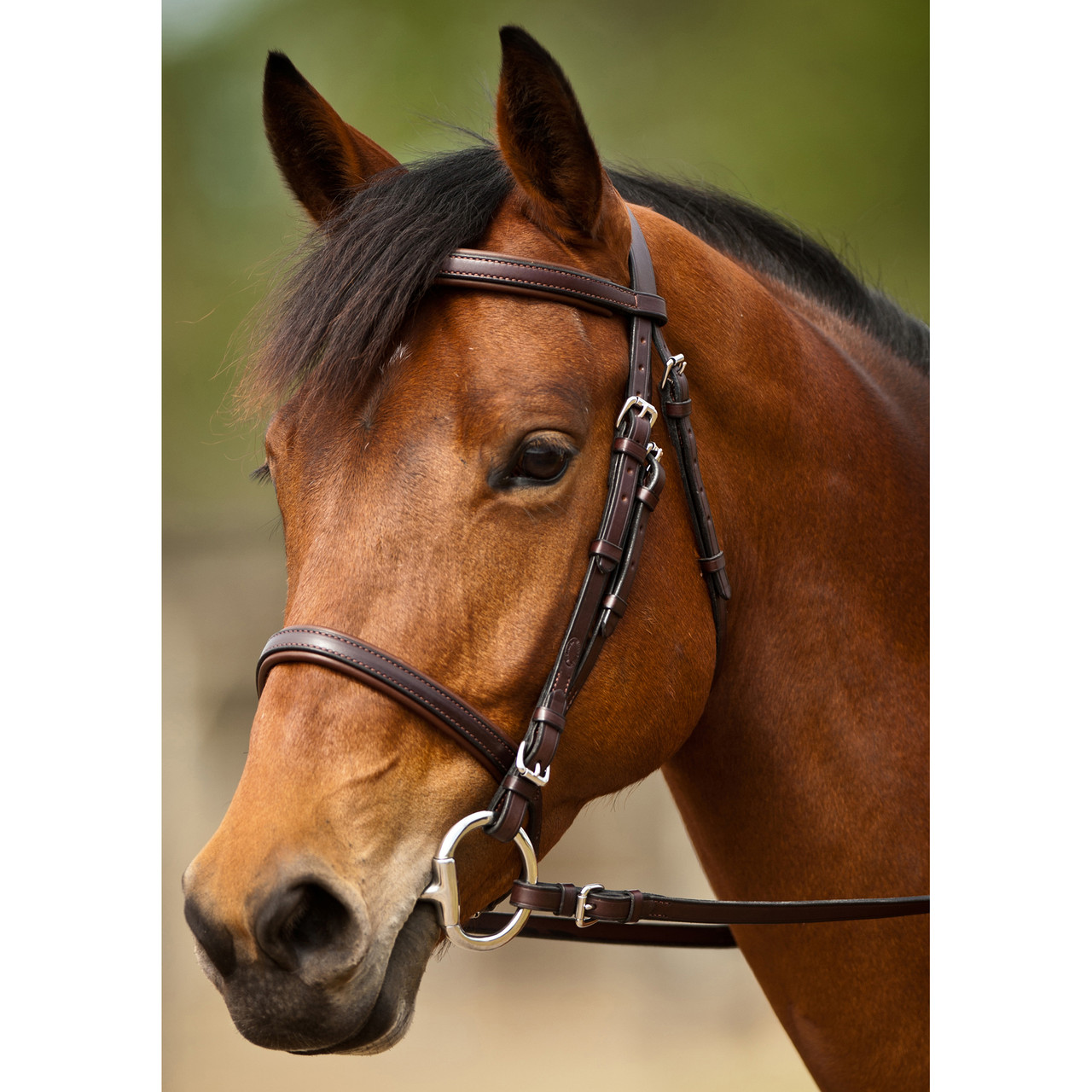 NF Customizable Event Bridle Havana with Stainless Steel