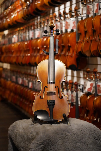 Amber Strings SU-354 Violin - Milano Music Center