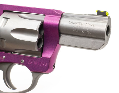 Charter Arms Rosie .38 Special Stainless Steel / Pink Revolver ...