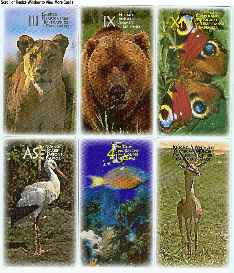 Animal Messages - The Tarot Garden