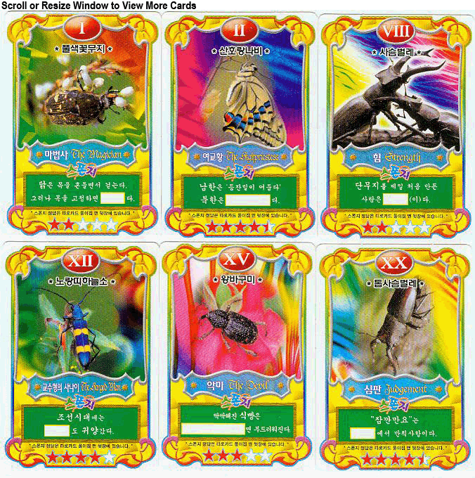 Insect Tarot - The Tarot Garden