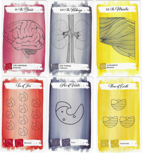 The Body Tarot - The Tarot Garden