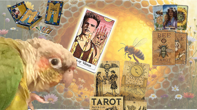Welcome to the Tarot Garden