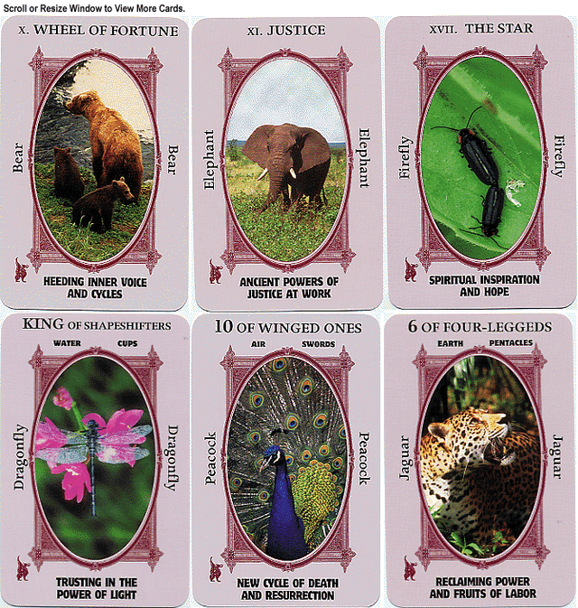 Animal Messages - The Tarot Garden