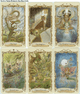 Beautiful Creatures Tarot - The Tarot Garden