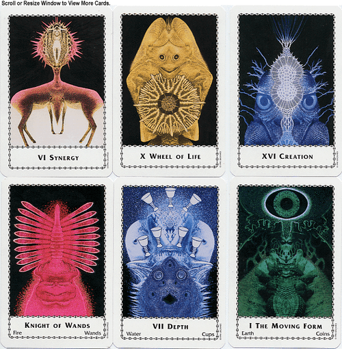 Terrestrial Tarot - The Tarot Garden