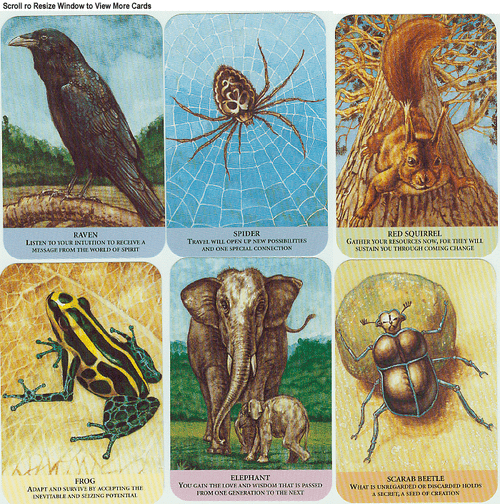 Animal Messages - The Tarot Garden