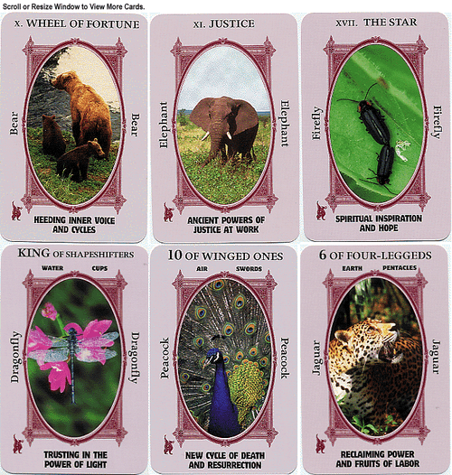 Animal-Wise Tarot - The Tarot Garden