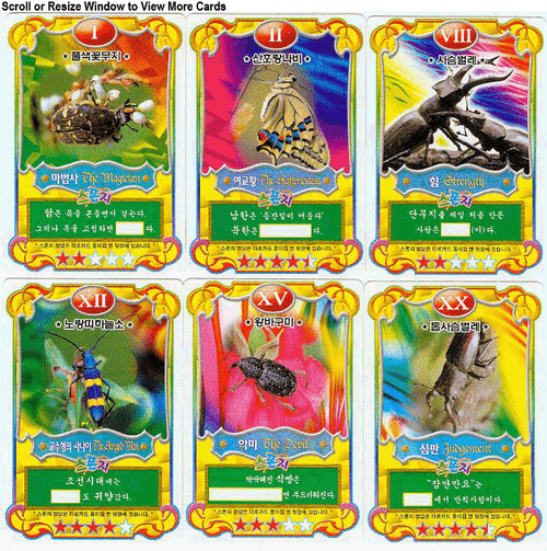 Insect Tarot - The Tarot Garden