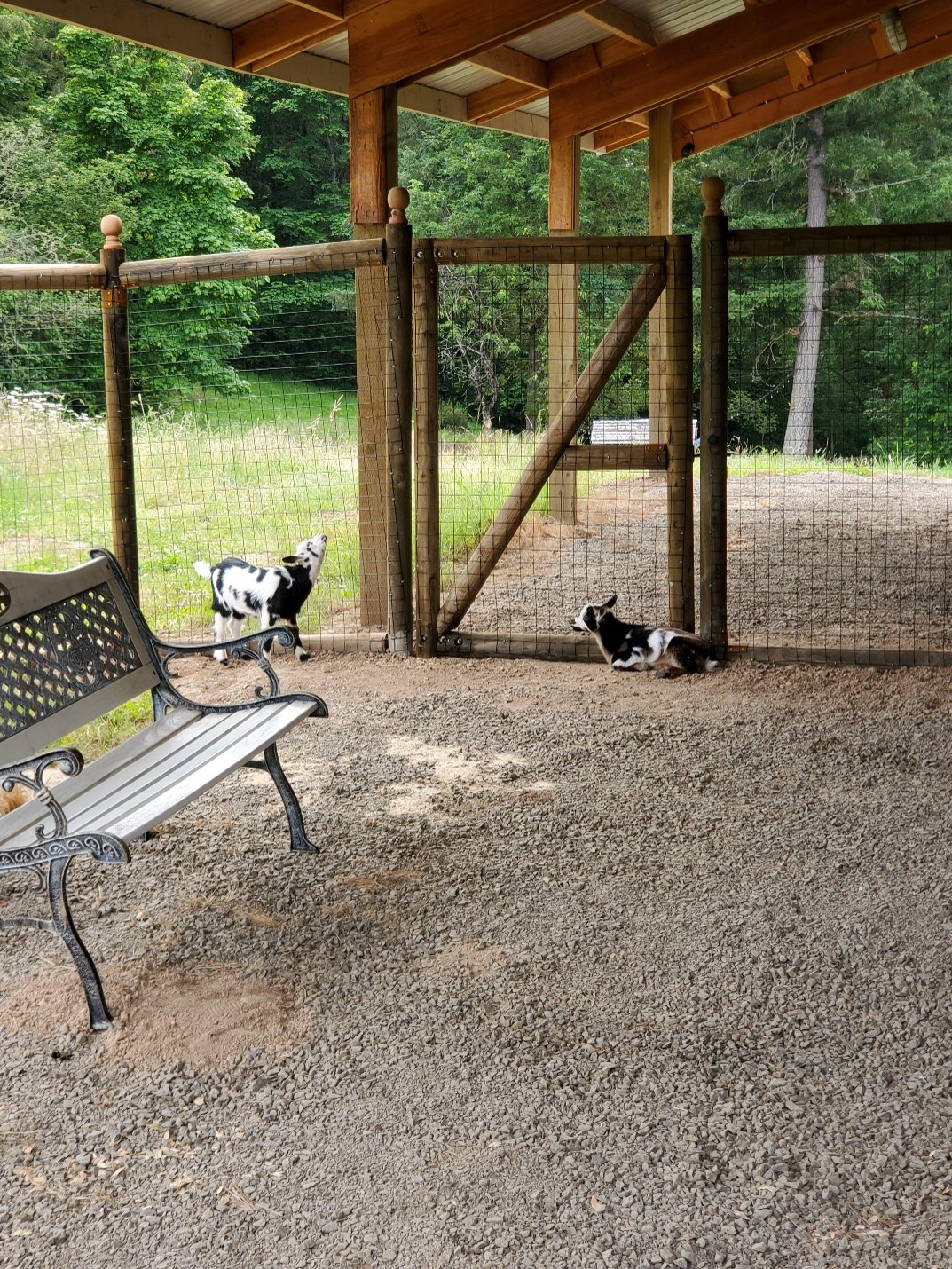 Goat Fence - Critterfence® Fencing