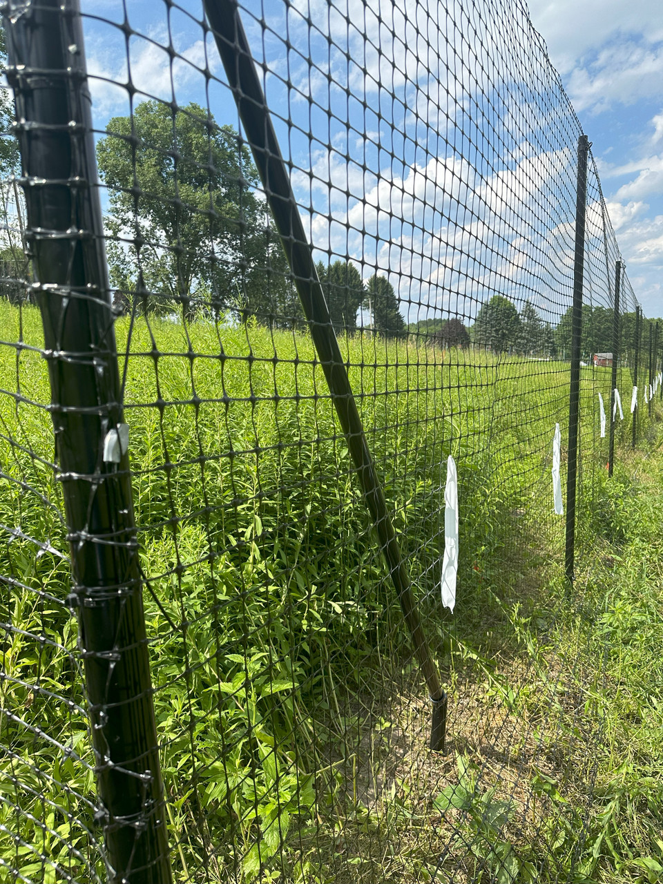 End Post 2 1/2 + one 1 5/8 brace for 4ft fences