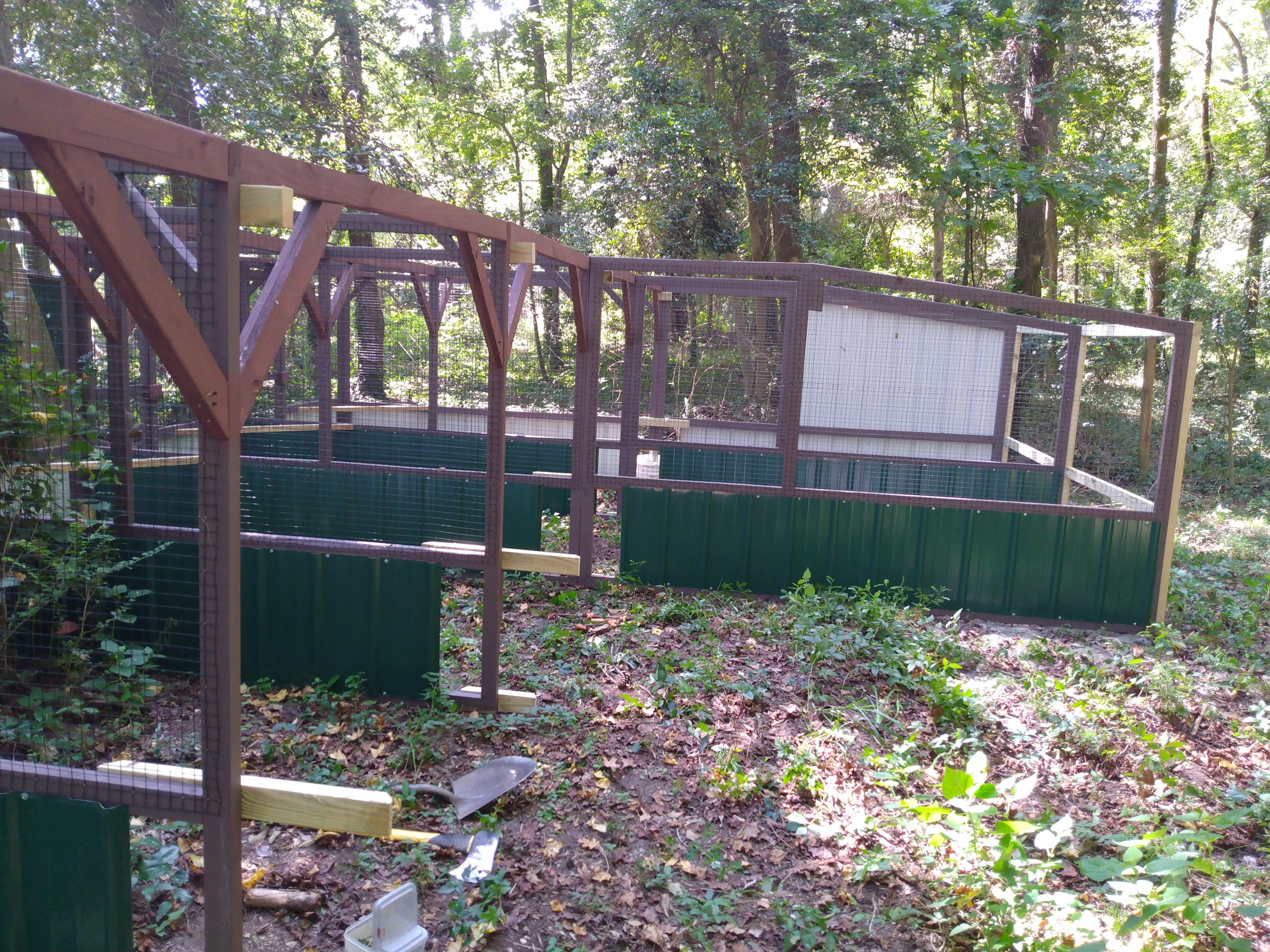 Pheasant Runs in South Carolina Fence - Critterfence.com
