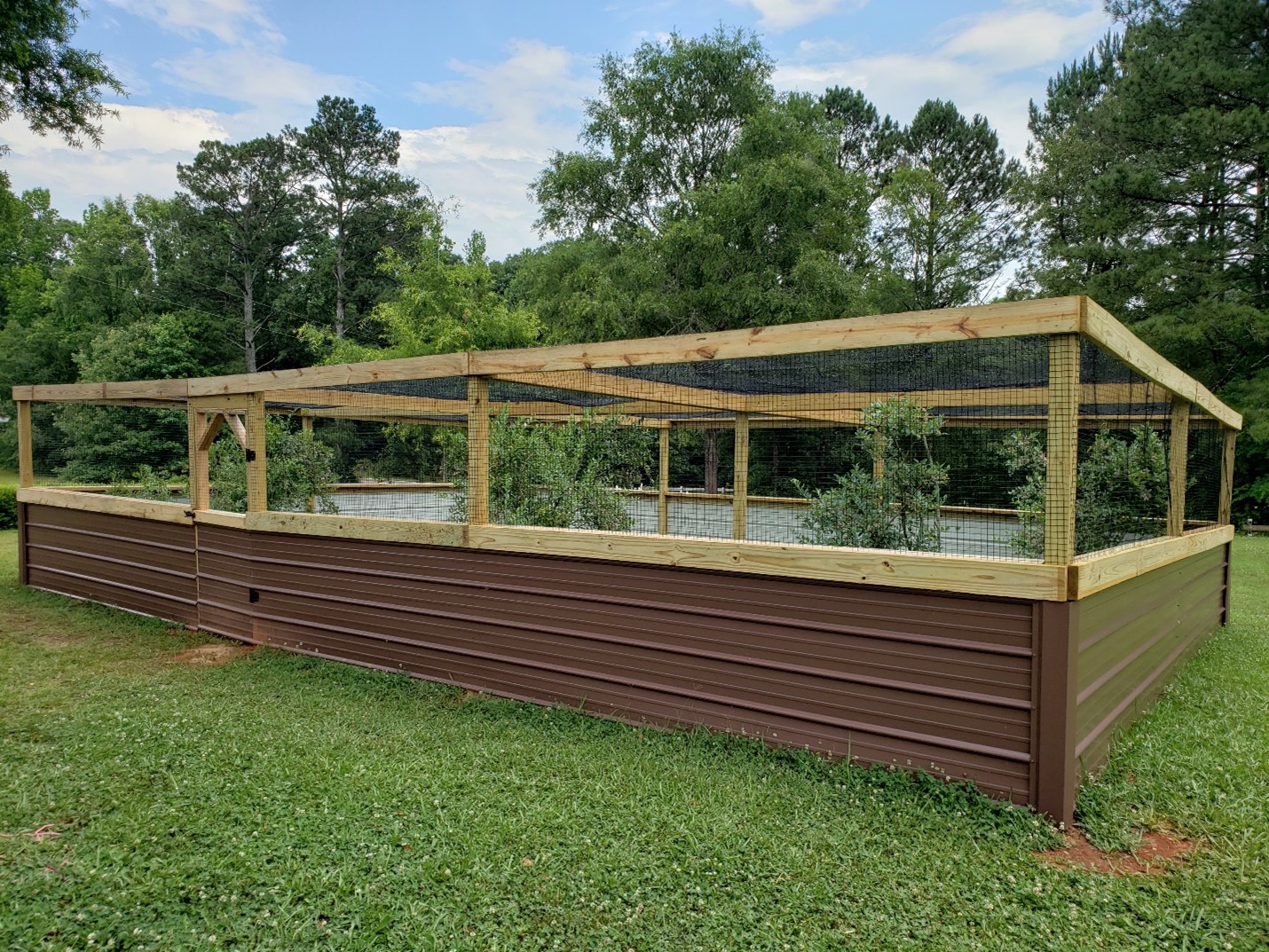 Blueberry Fence - Critterfence.com