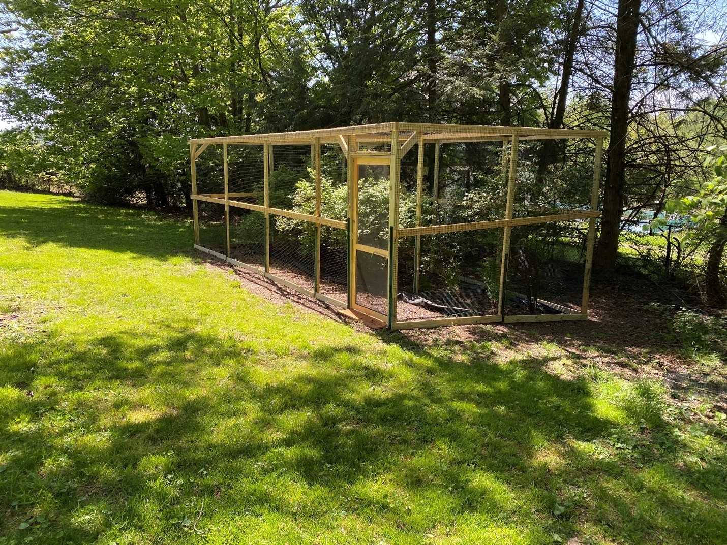 Blueberry Garden Enclosure - Critterfence.com
