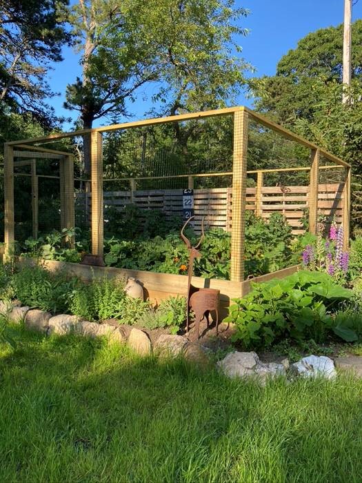 Garden Protection on Wood Frame - Critterfence.com