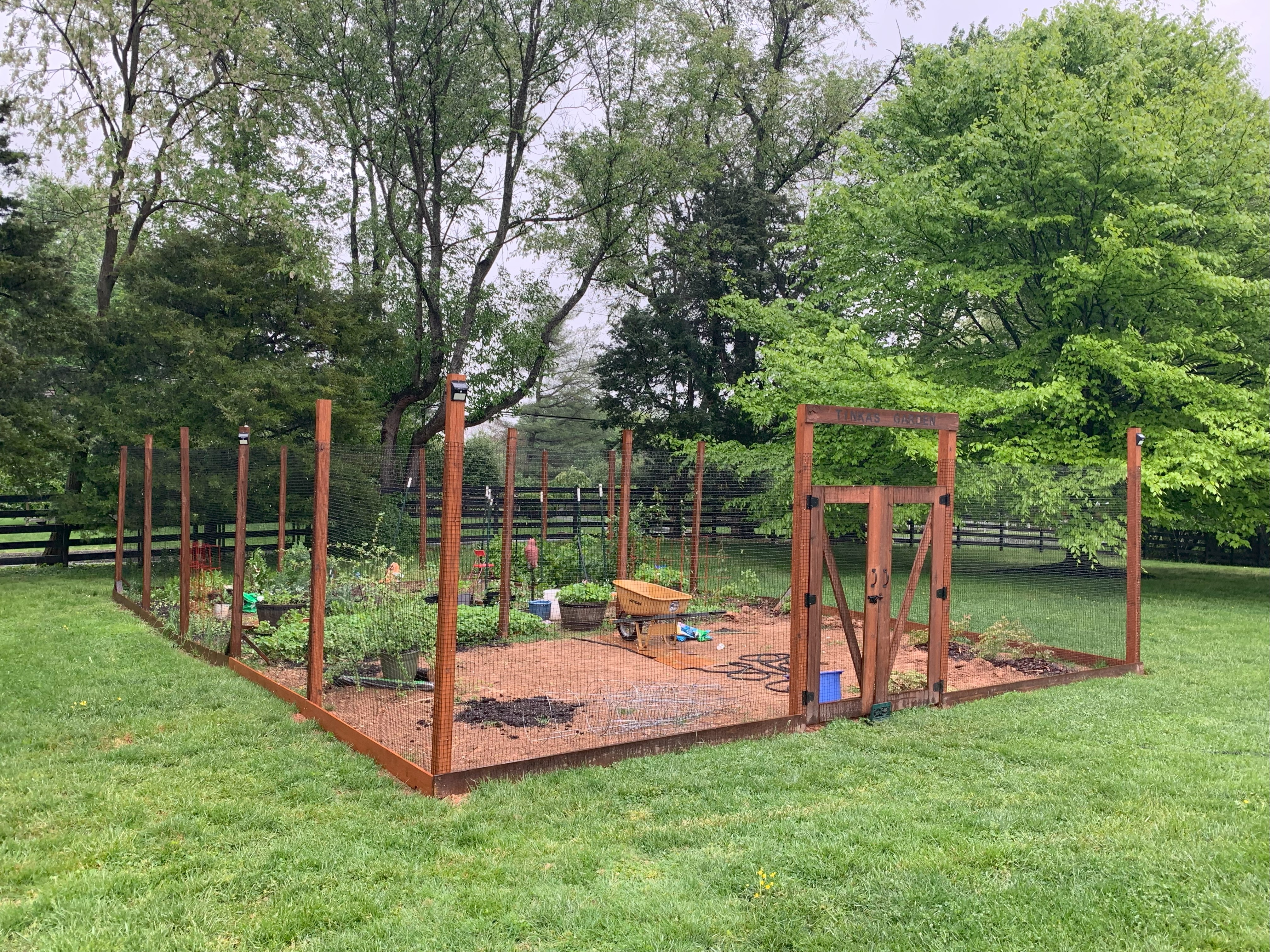 Luis's Garden Fence 1x1 Metal Grid - Benner's Gardens