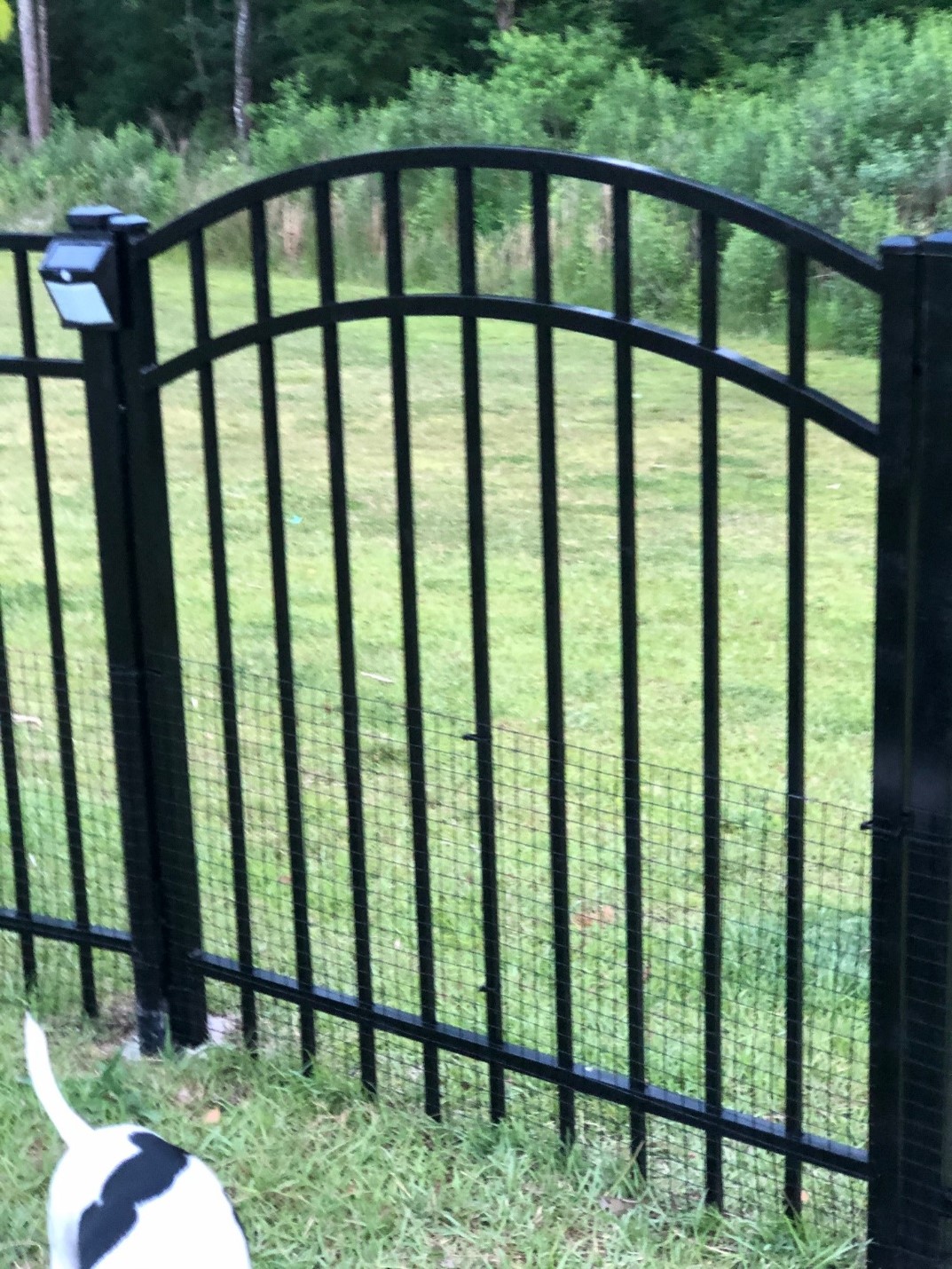 Metal Fence Attachment For Small Dogs - Critterfence® Fencing