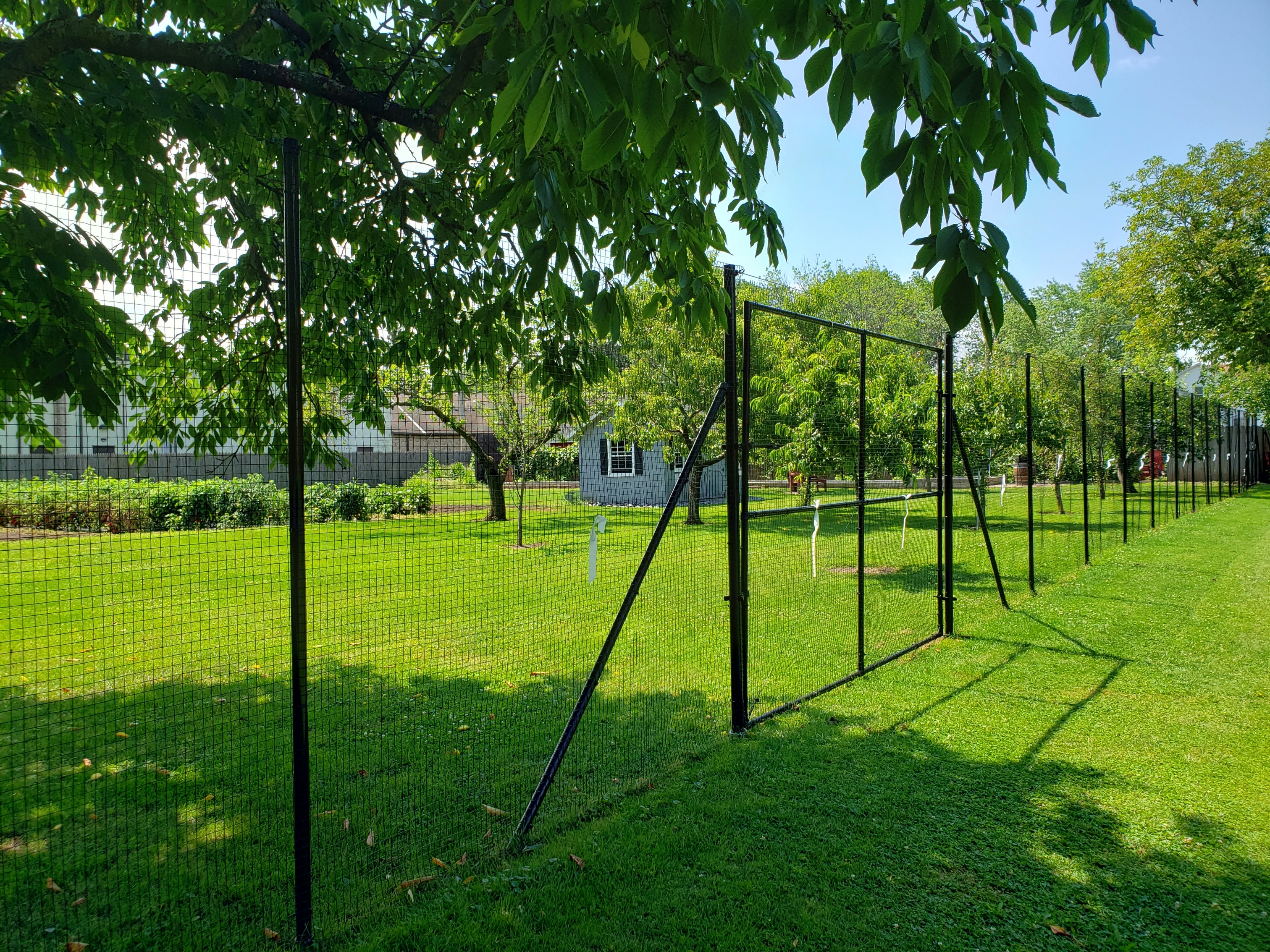 Steel Grid 1x1 Fence in NY - Deer Fence
