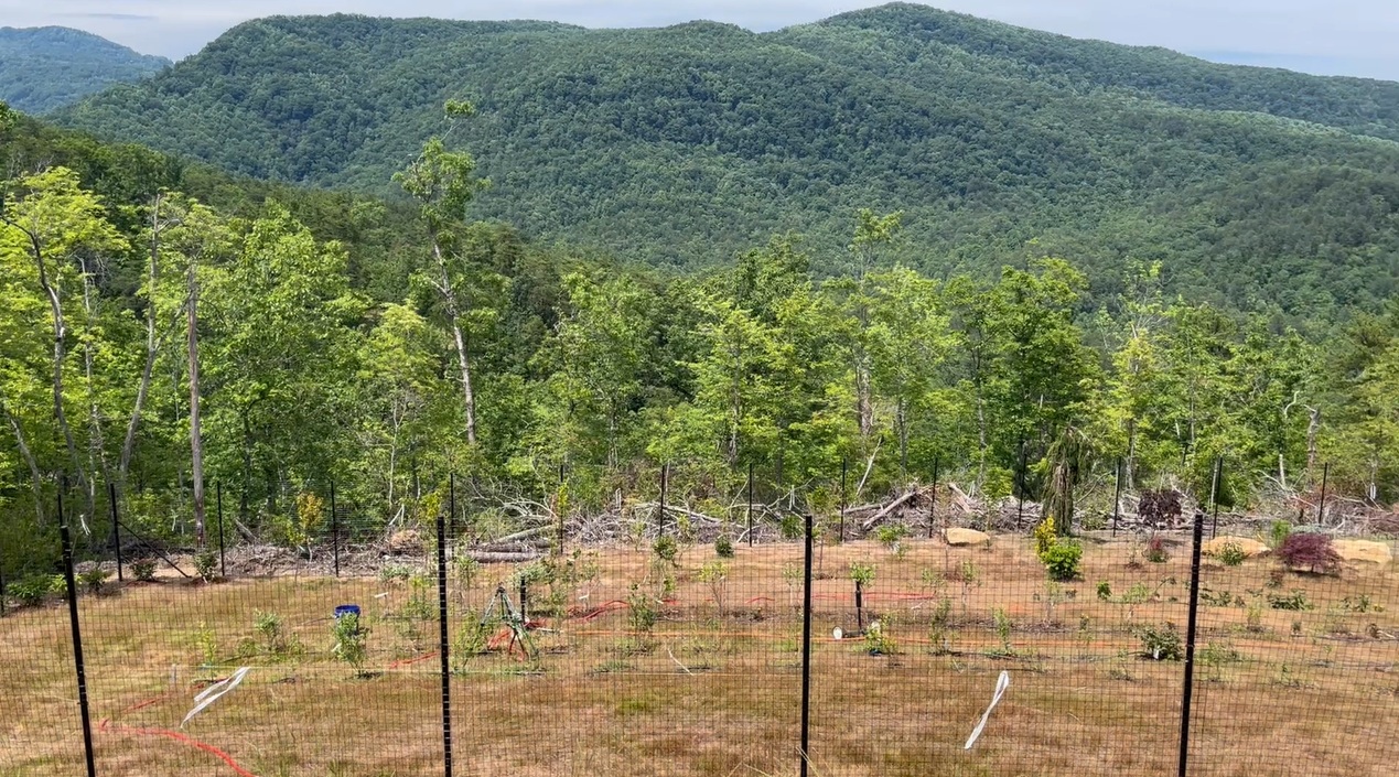 Tree Farm in Lake Lure NC - Critterfence® Fencing