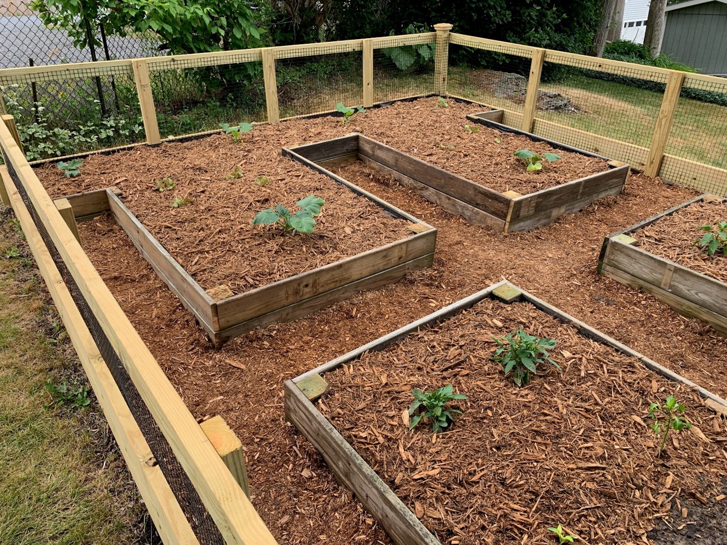 Small Garden Rabbit Protection - Critterfence.com