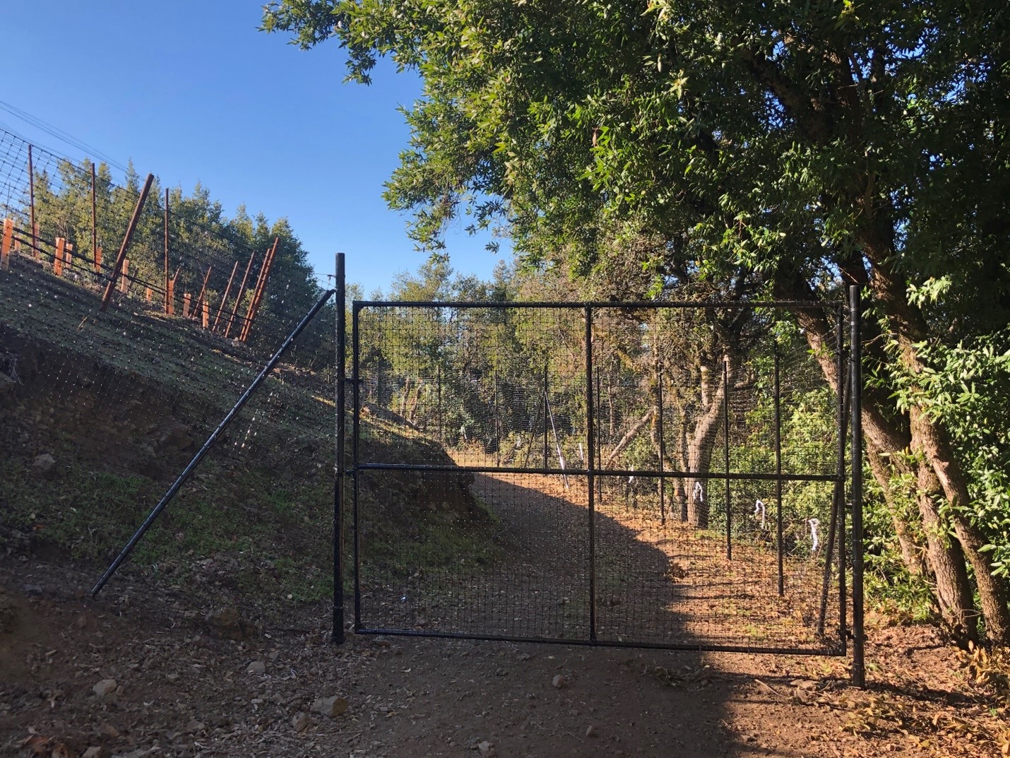 Single Leaf Driveway Gate and Slope - Critterfence.com