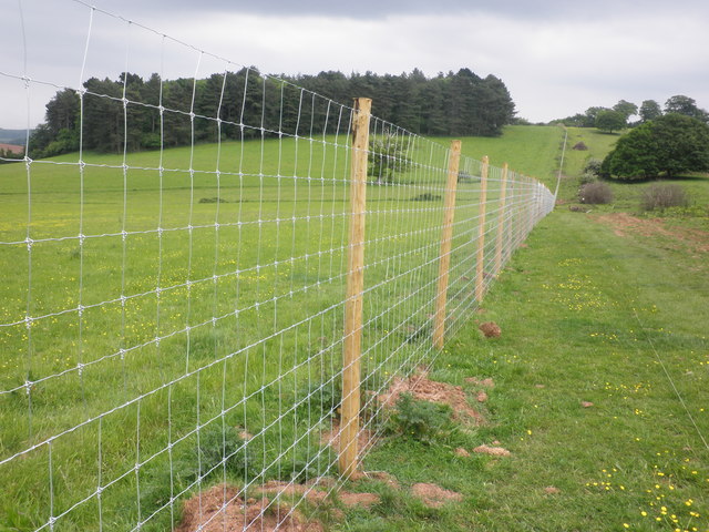 Types of Deer Fencing - Benner's Gardens