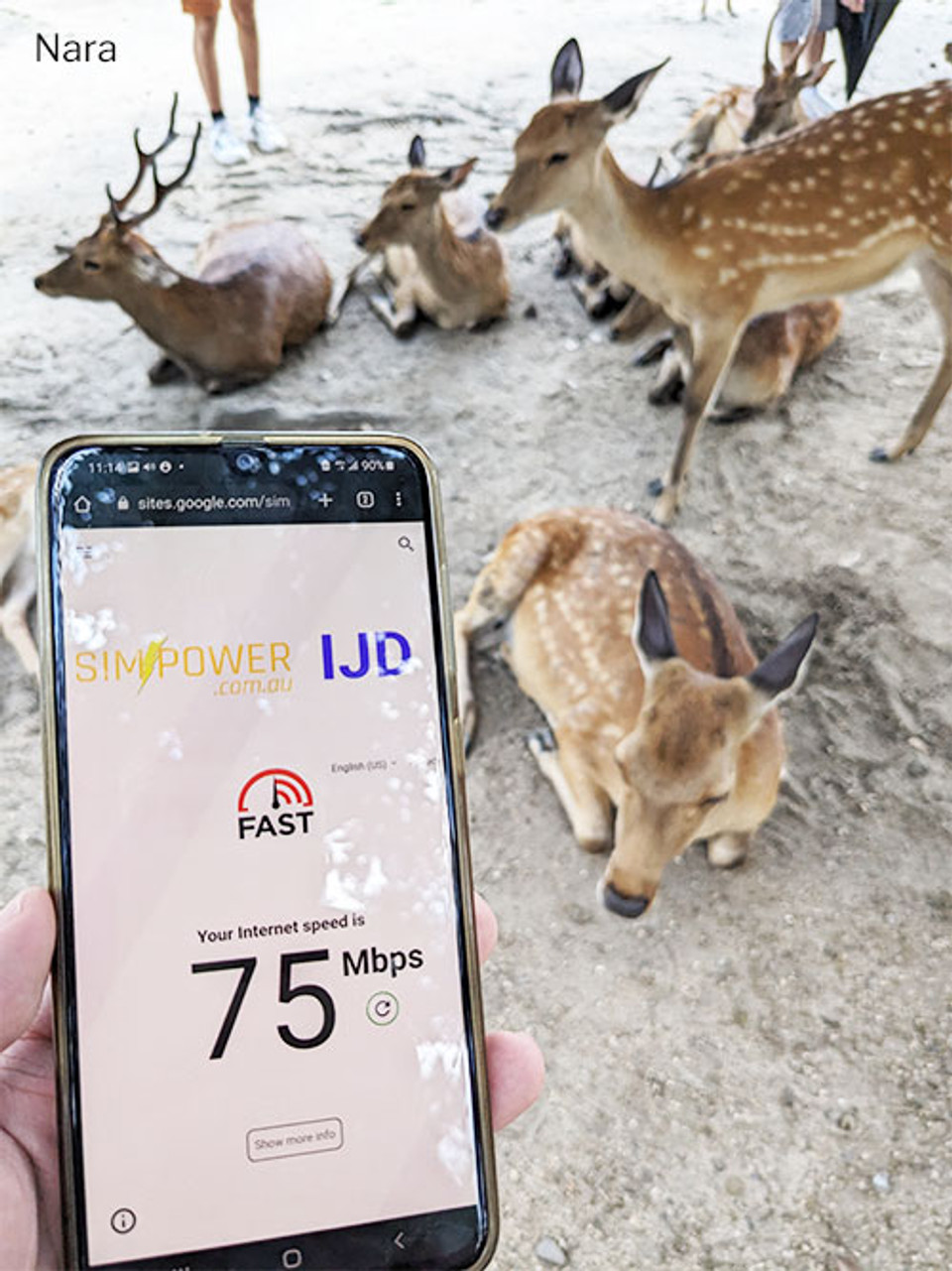 Japan eSim | IIJ NTT Docomo | 10GB/15GB/20GB/30GB | 15/30 Days | QR code activation