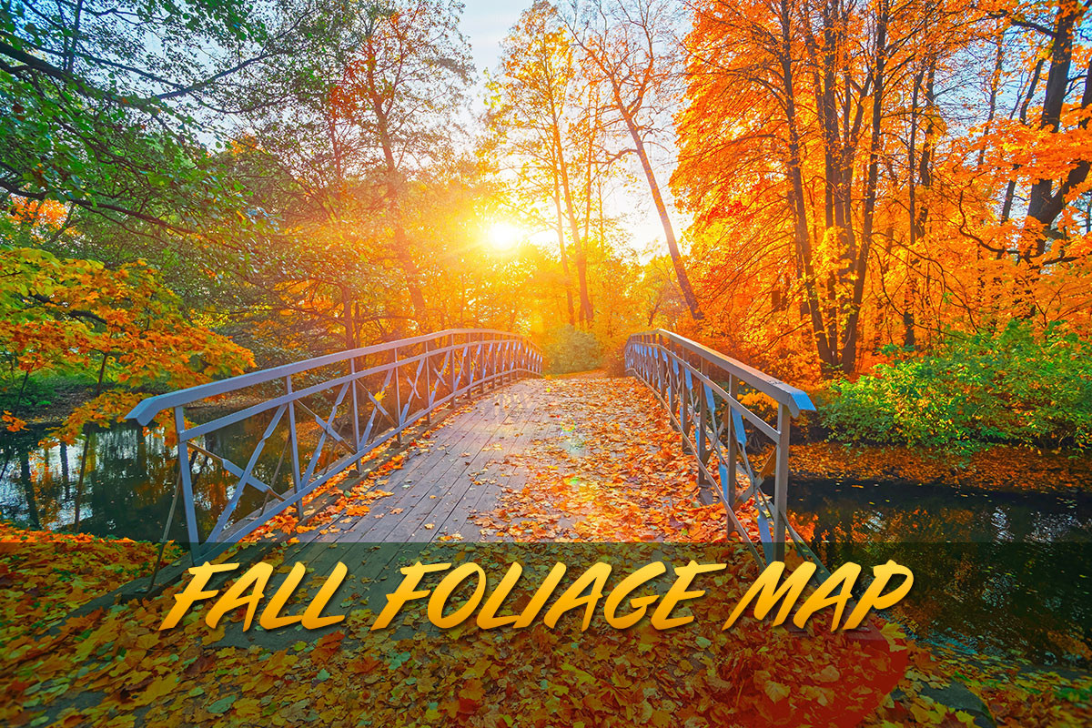 The Best Fall Hiking Trails - EcoSox