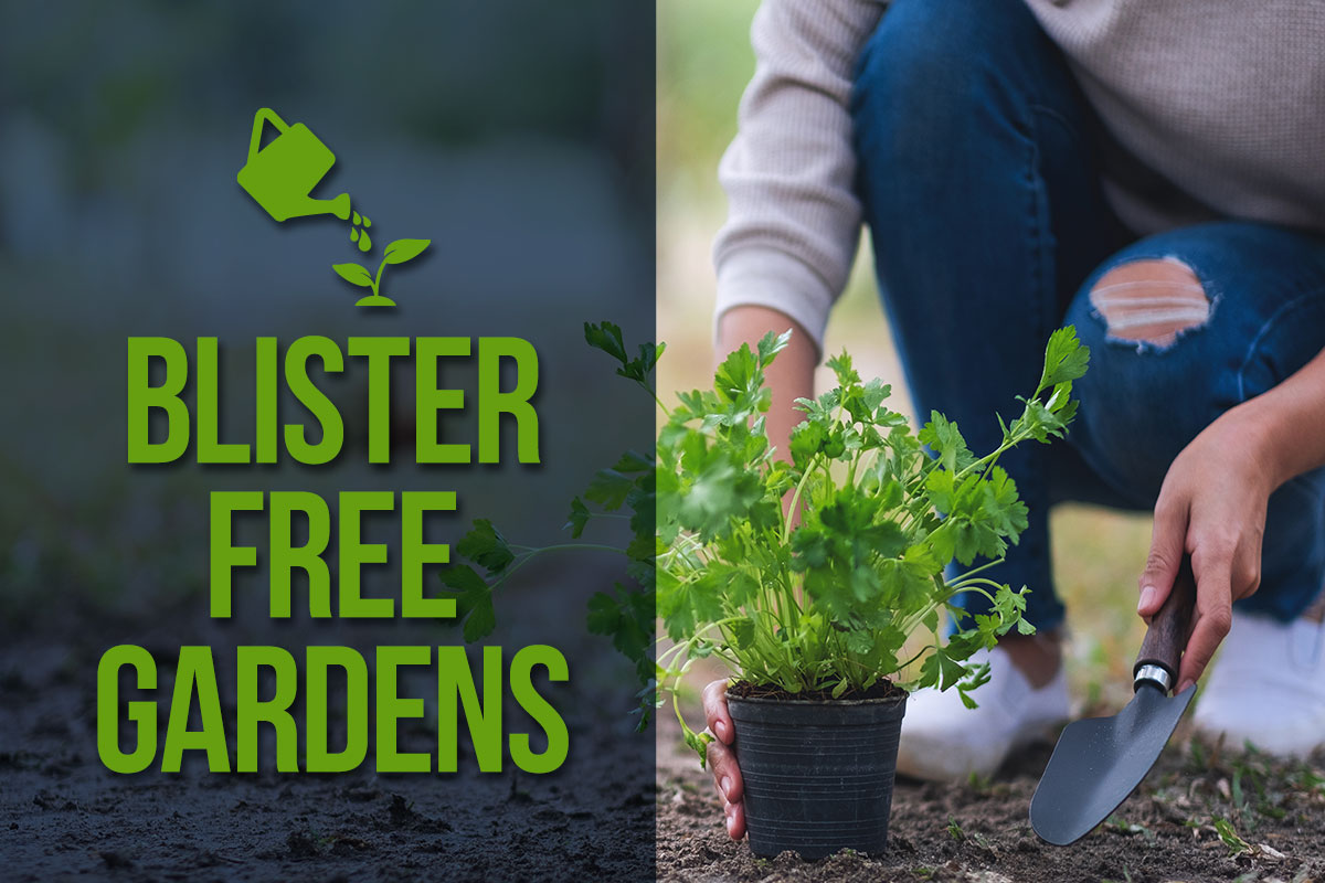 The Best Bamboo Socks for Gardeners - EcoSox