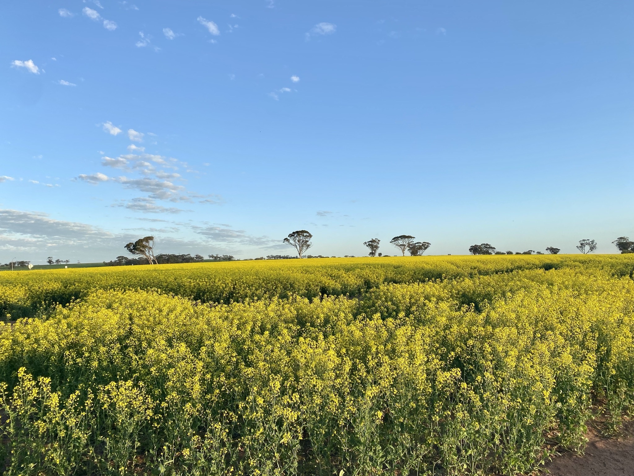 Dowerin Field Day 2021 - Filter Discounters