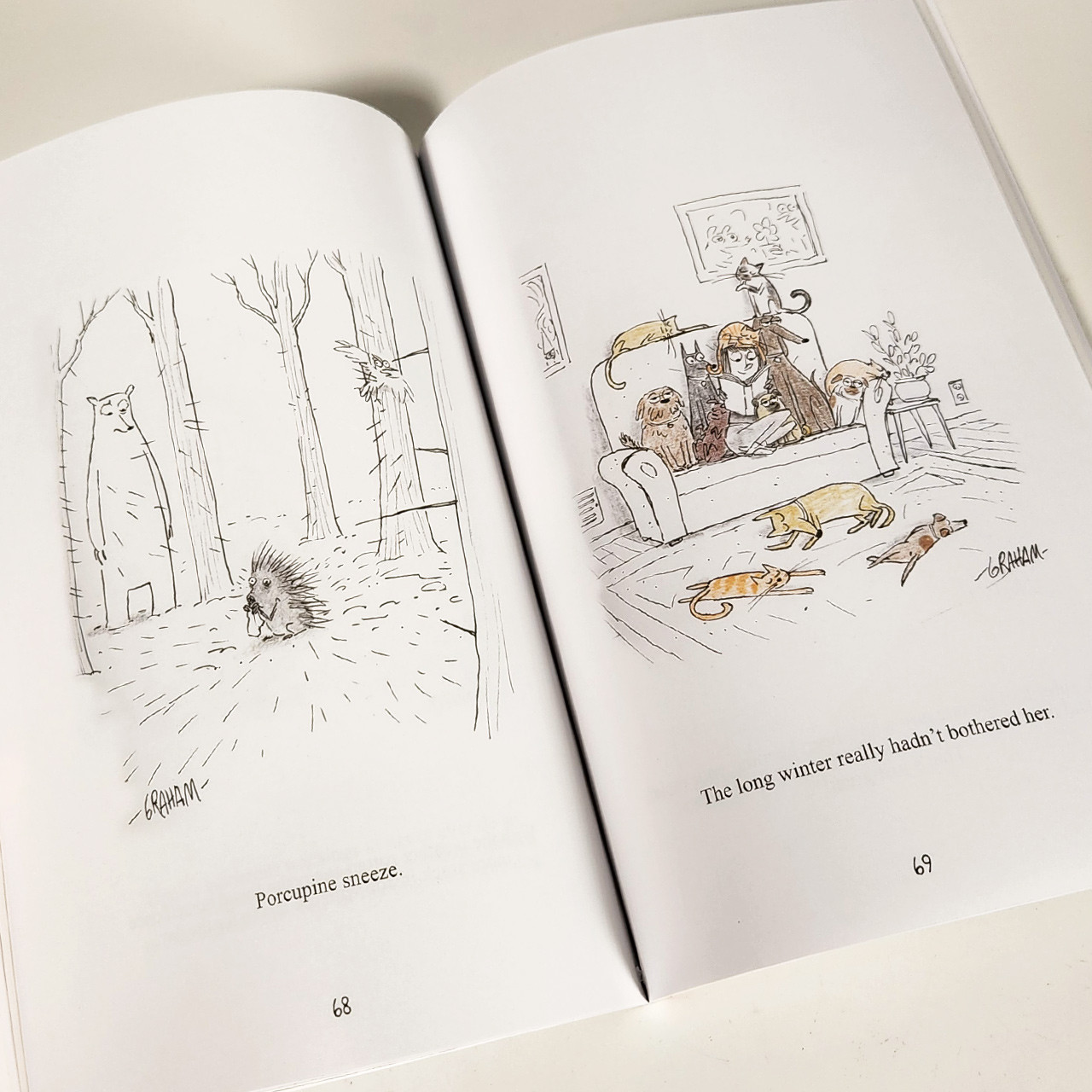 Second Delightful Graham Annable Doodle Collection