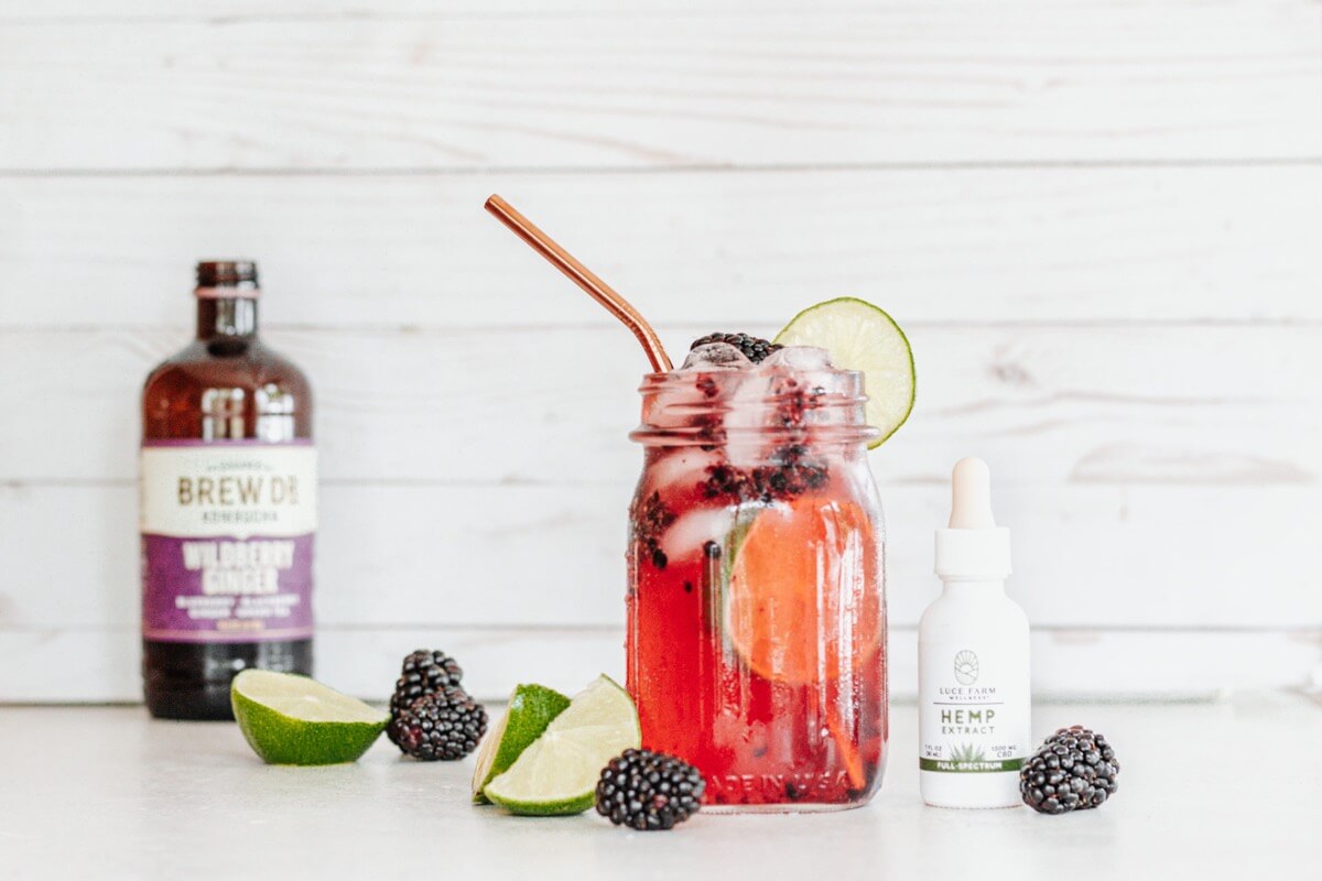Blackberry Lime Kombucha CBD Elixir - Luce Farm Wellness