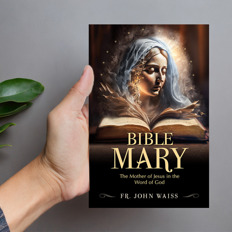 Bible Mary - The Mother of Jesus in the Word of God (Book)