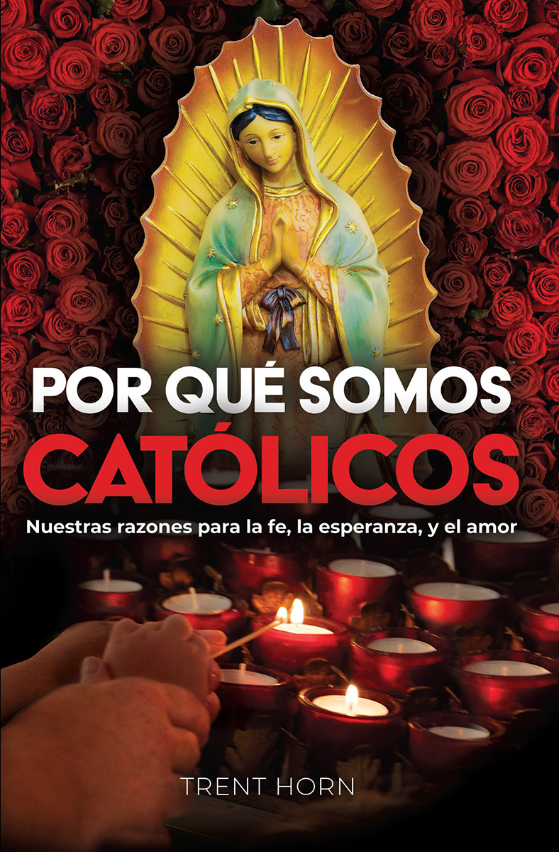 Catholic Books, DVDs, and Audio Products │ Catholic Answers