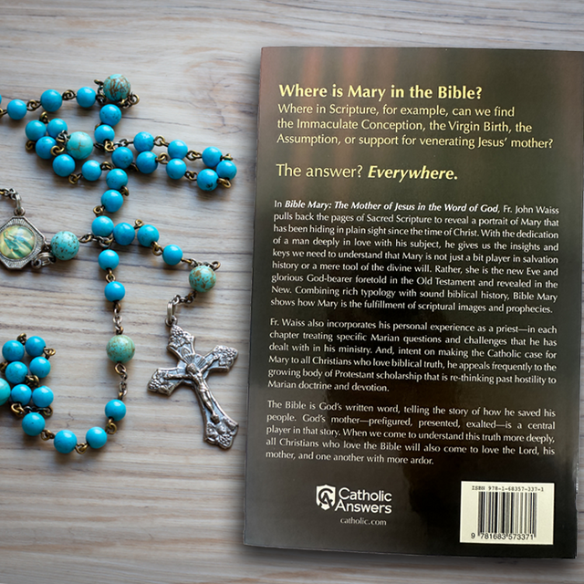 Bible Mary - The Mother of Jesus in the Word of God (Book)