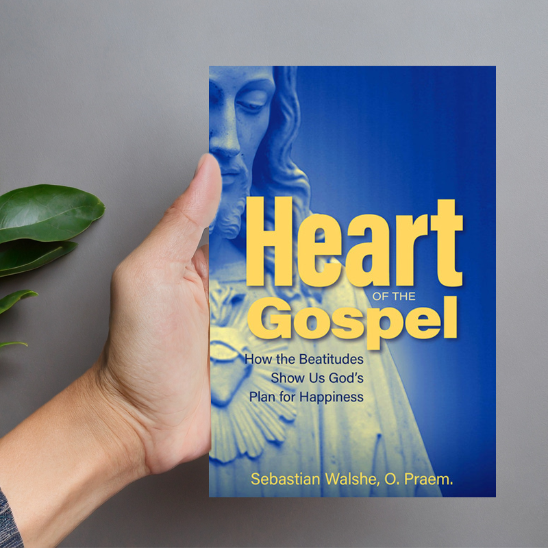 Heart of the Gospel: How the Beatitudes Show Us God's Plan for ...