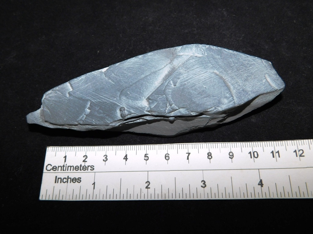 Single Peronopsis Trilobite Slab