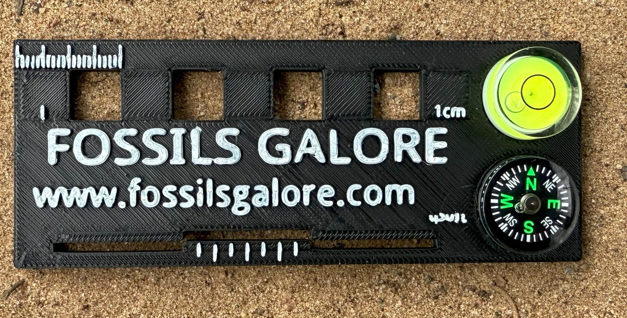 Fossils Galore Scale Tool Version 2