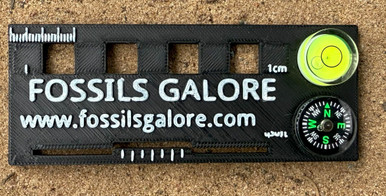 Fossils Galore Scale Tool Version 2