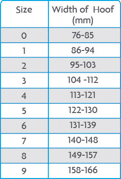 Woof Wear Medical Hoof Boot