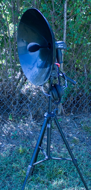 Parabolic Microphone Detect-Ear Pro - ProofPronto.com | Recorders ...