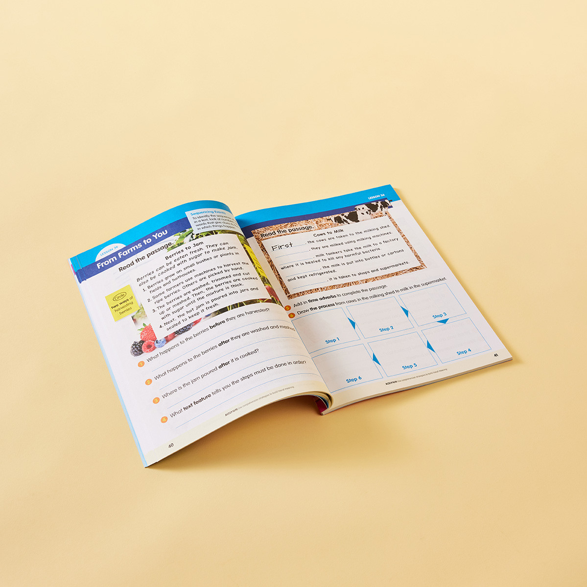 Year 2 Reading Comprehension and Grammar Workbook in Year 2 Reading ...