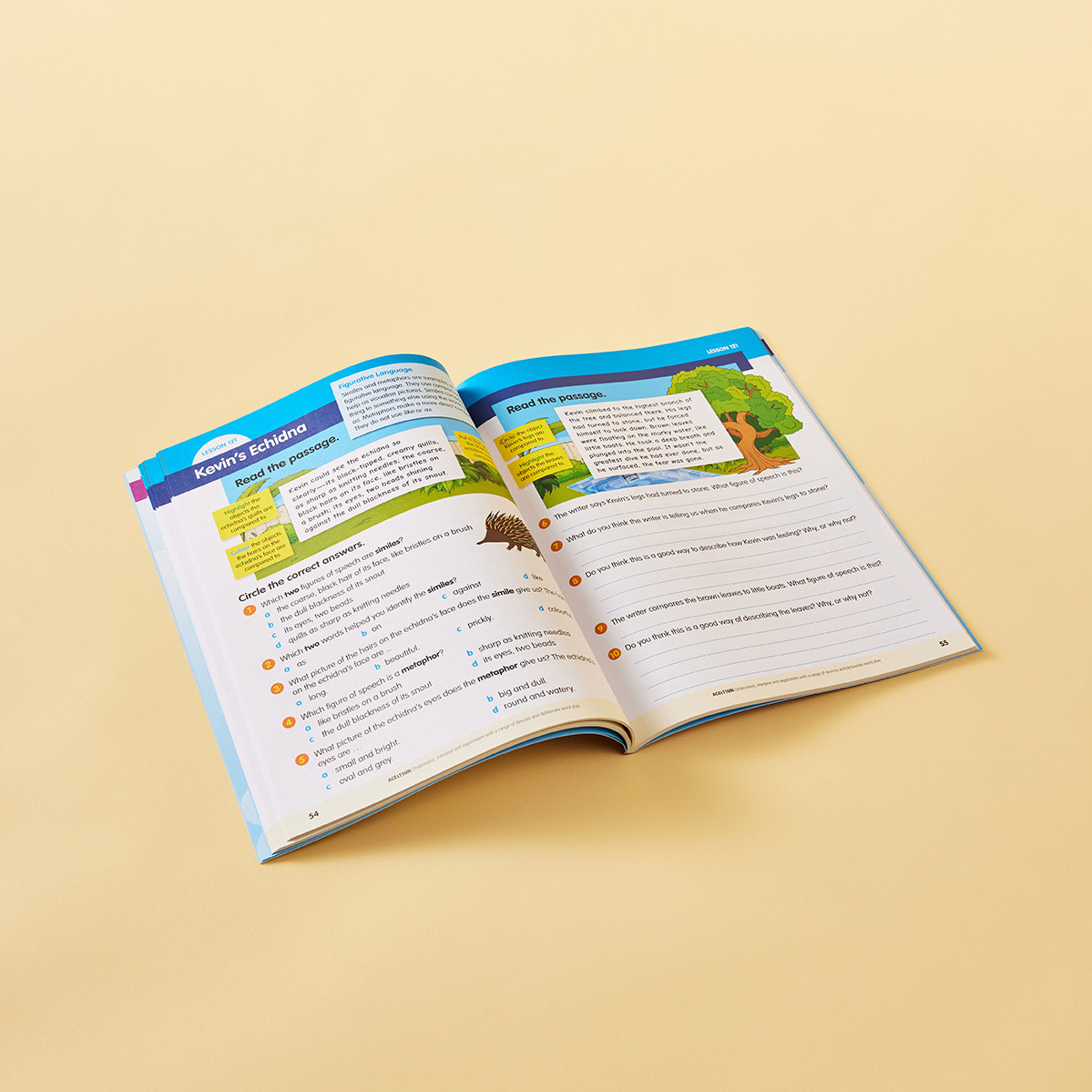 Year 4 Reading Comprehension and Grammar Workbook in Year 4 Reading ...