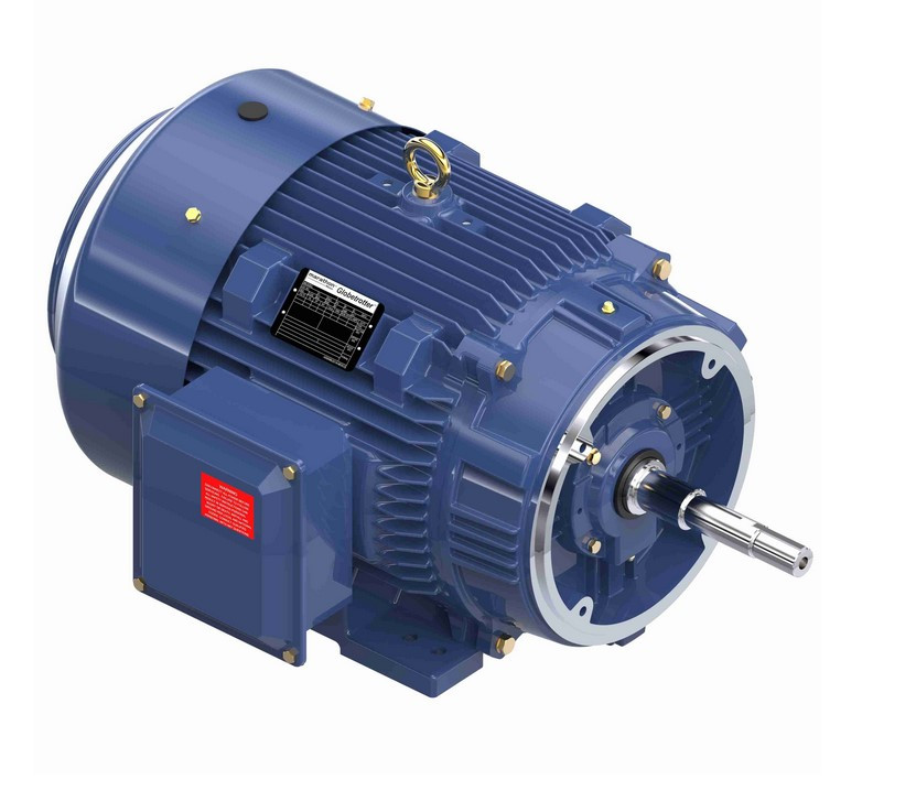 Leeson/Marathon Electric Close Coupled Pump Motors