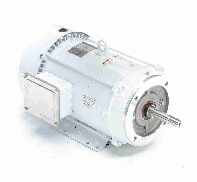 Leeson/Marathon Electric Close Coupled Pump Motors