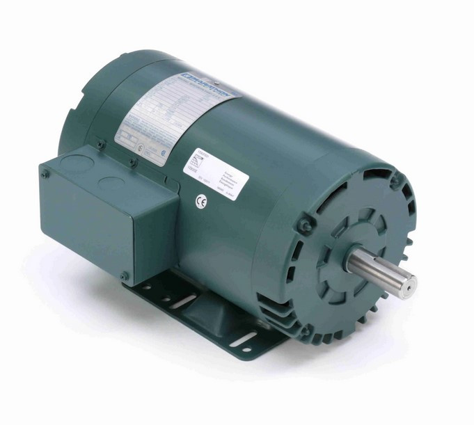Leeson/Marathon Electric Motors - Electric Motor Warehouse