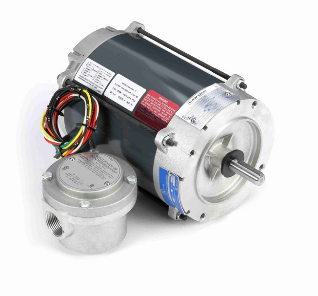 Leeson Electric Single Phase Explosion Proof Electric Motors