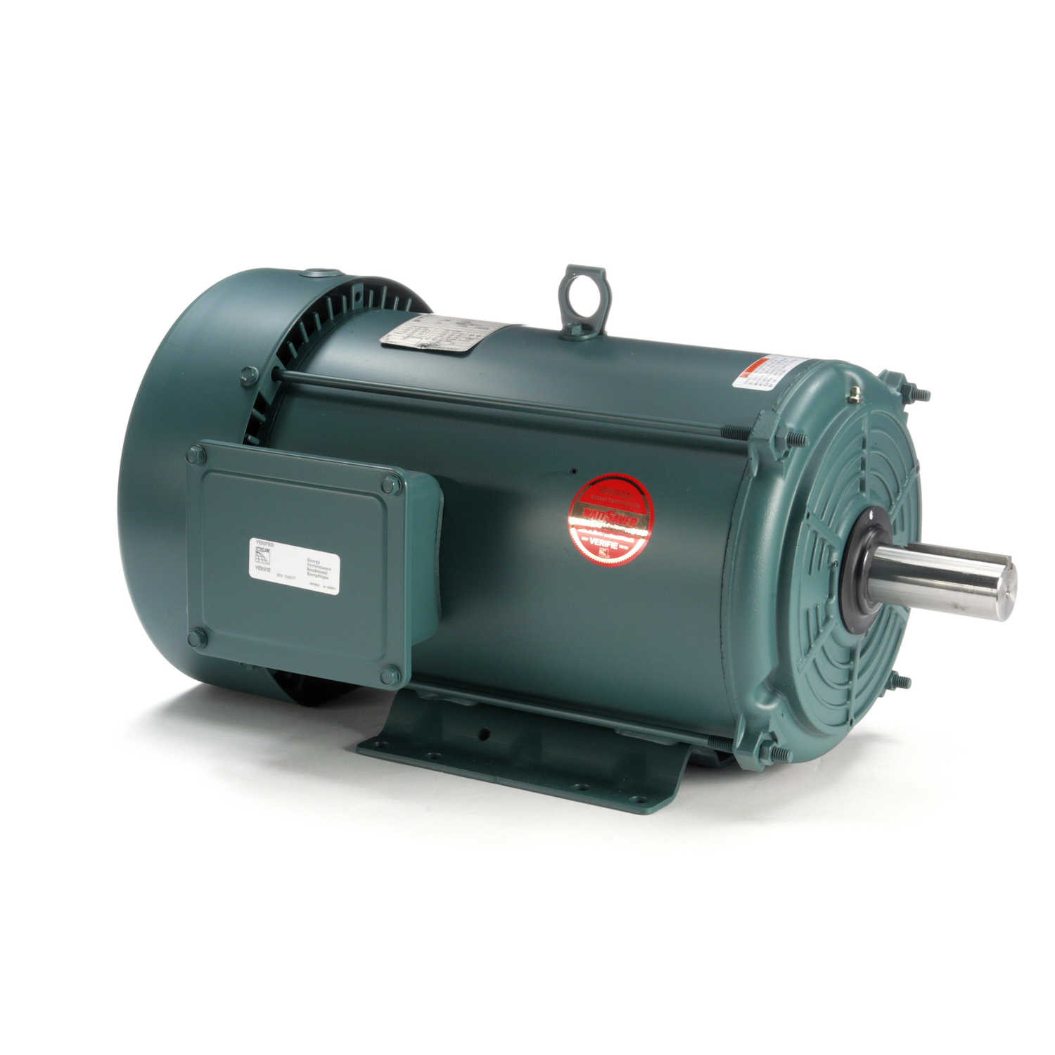 Leeson/Marathon Electric Motors - Electric Motor Warehouse