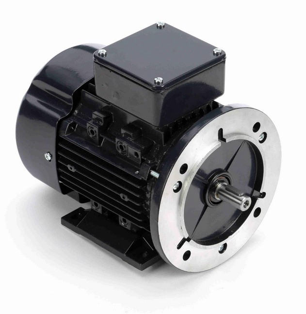 Leeson/Marathon Metric Electric Motors - Electric Motor Warehouse